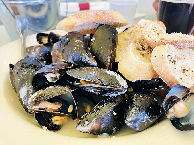 These plump, glistening mussels aren't just dinner - they're an invitation to taste the Atlantic's finest offerings.