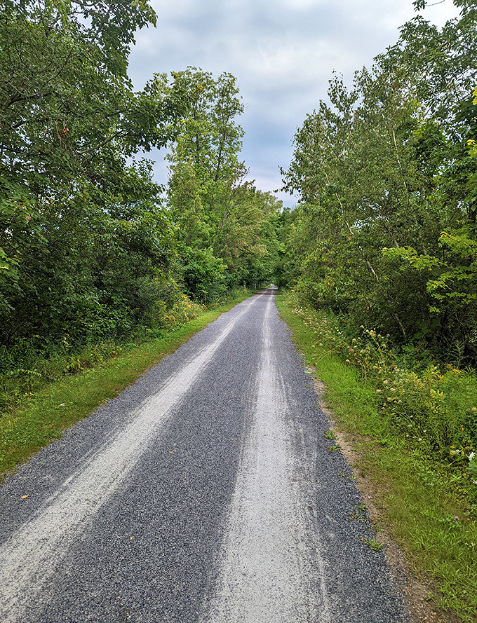 The narrow paved road winds through verdant Vermont countryside, beckoning cyclists to discover what lies around each bend.