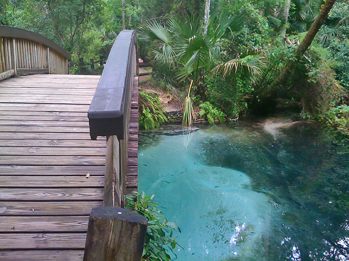 Where the wooden walkway meets liquid sapphire – this junction between human construction and natural wonder creates a perfect harmony.