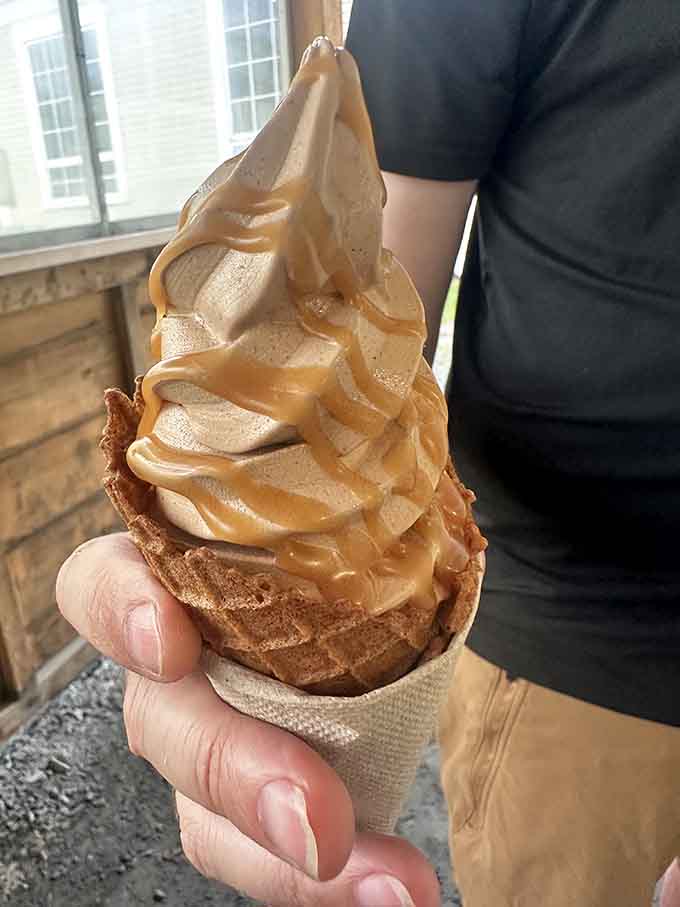 Perfectly swirled and ready to melt on your tongue, this is what frozen dessert dreams are made of.