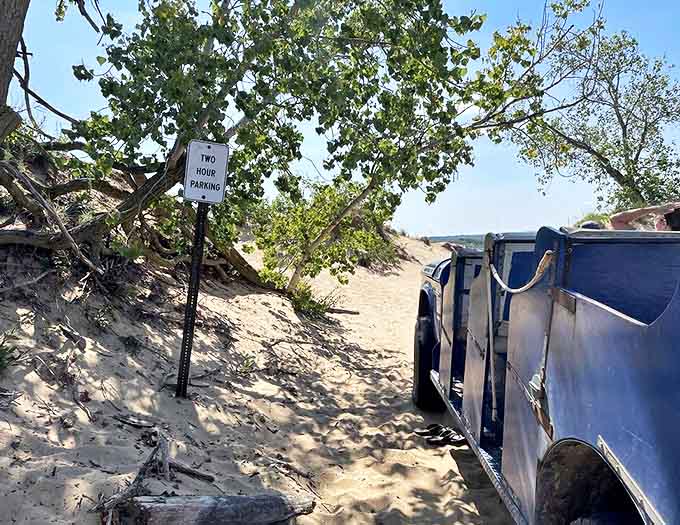 When the vehicle stops for photos, you realize just how massive these dunes really are, towering above you like mountains made entirely of the world's finest beach sand.