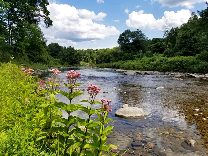 Nature's dinner theater! This serene river view is the perfect backdrop for your culinary adventure.