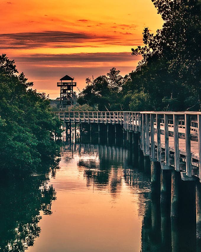When sunset paints the boardwalk in amber hues, even the most dedicated smartphone addicts pause to appreciate nature's light show.