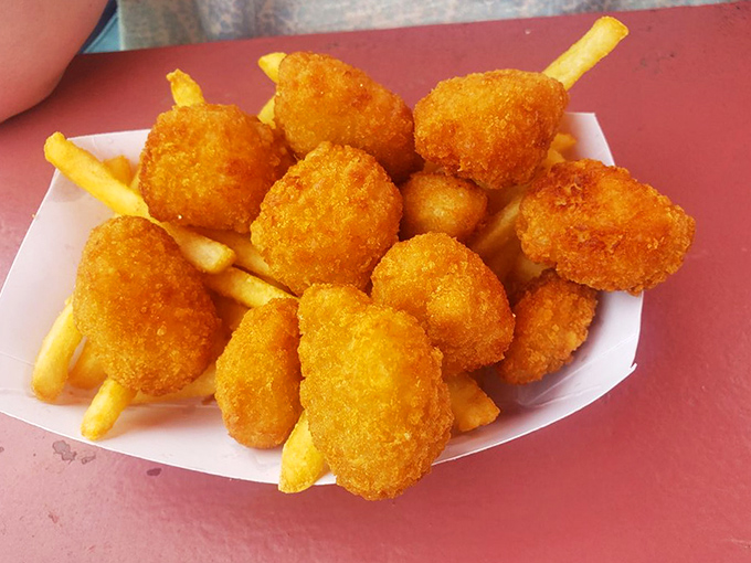 Sweet ocean jewels fried to golden perfection, proving Vermont knows its seafood despite being landlocked.