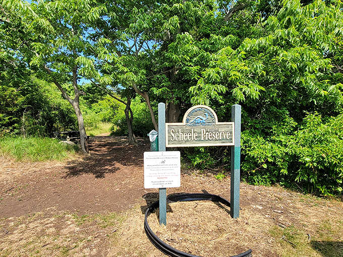 Scheele Preserve protects rare alvar ecosystems, where thin soil creates botanical wonders that somehow thrive on limestone's challenging canvas.