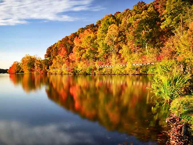 Fall's fiery palette transforms Lake Logan into a double masterpiece, with every tree admiring its reflection in the still waters.