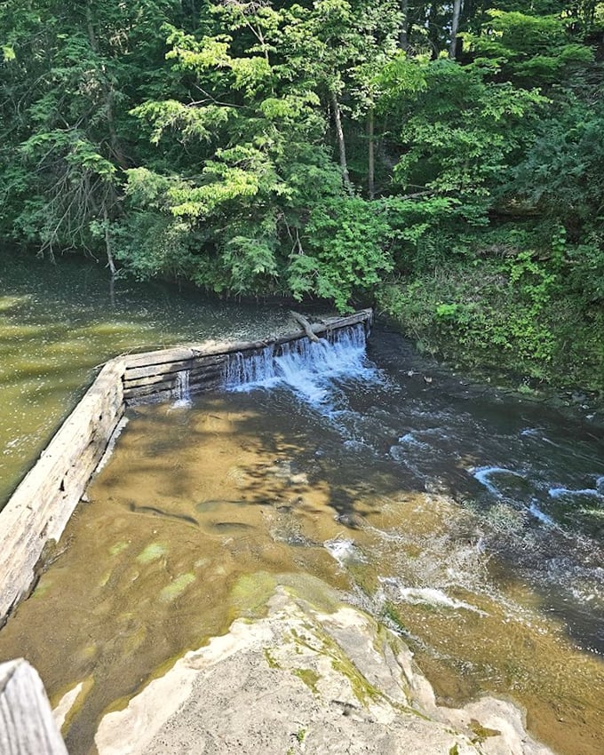 A small dam creates rippling cascades, the water's gentle music providing nature's own meditation soundtrack.