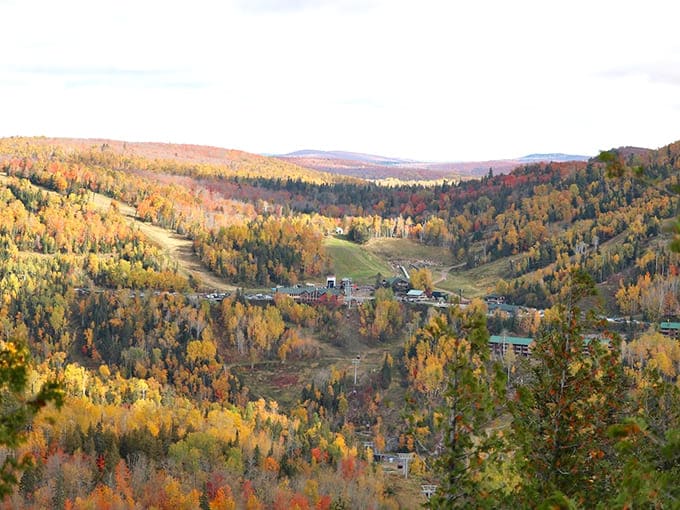 The valley spreads below like nature decided to show off everything she learned in art school all at once.