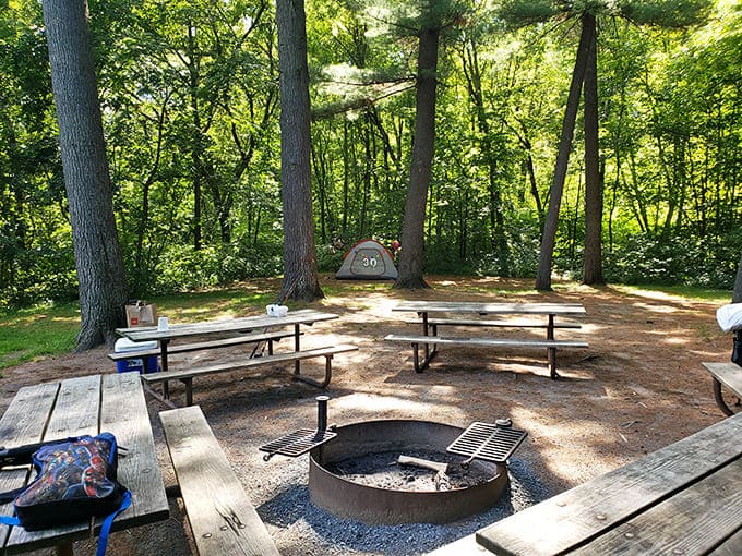 Camping at Interstate State Park puts you right in nature's embrace, with fire rings and picnic tables ready for s'mores and stories.