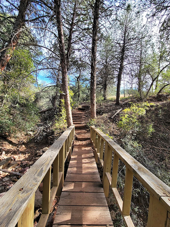 The footbridge crosses the creek with humble deference, a human connector that acknowledges its temporary status against nature's permanence.