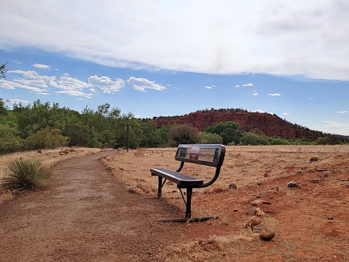 A solitary bench offers contemplation with a view, perfectly positioned for weary hikers to absorb nature's grandeur.
