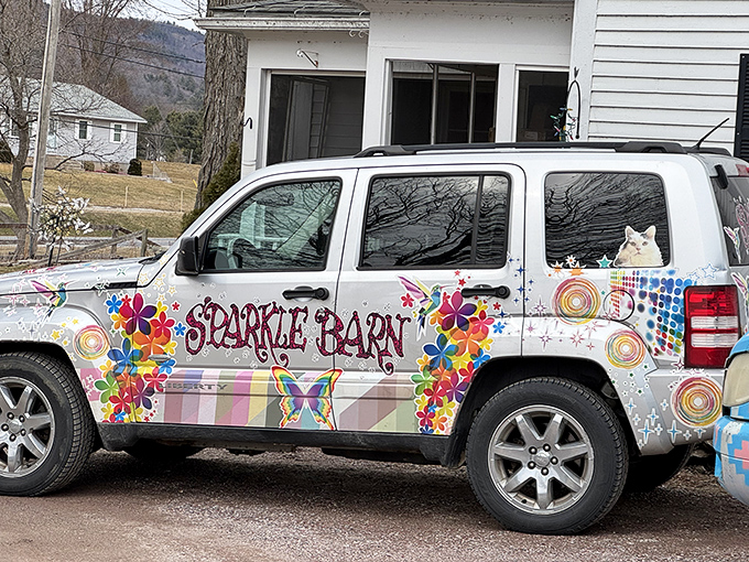 Even their vehicle got the memo &ndash; this rolling canvas announces "we don't do subtle" while spreading sparkle wherever it roams. Mobile marketing at its most magical!