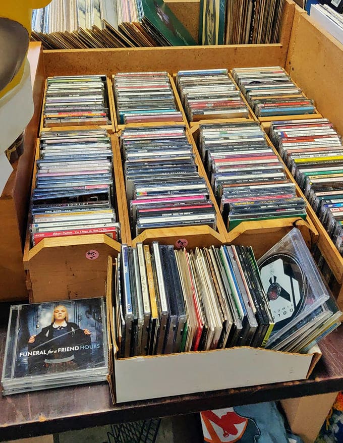 Vinyl enthusiasts lose track of time flipping through musical history, where forgotten albums wait to spin stories of decades past on turntables once more.