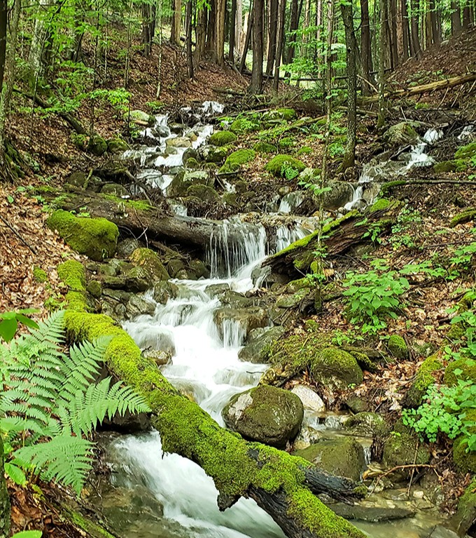 This gentle cascade creates nature's soundtrack &ndash; the perfect white noise machine for forest meditation or afternoon naps.