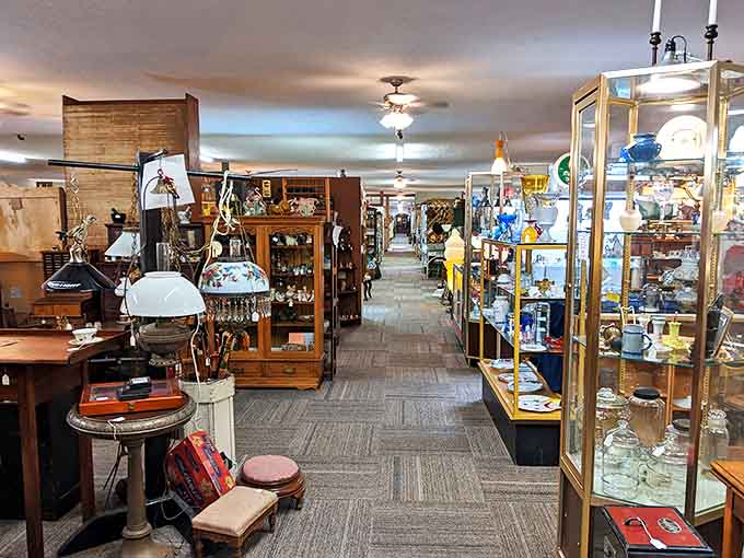 Every aisle reveals new discoveries, making it impossible to visit just once and see everything this place offers.