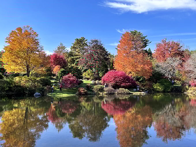 Fall's fiery palette explodes around Asticou's pond, creating a double dose of color that would make even Monet reach for his paintbrush.