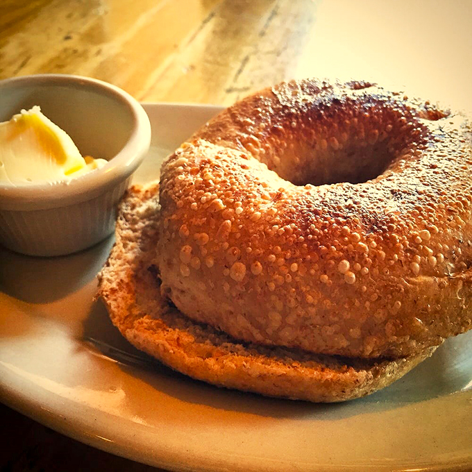 Up close and personal with carb perfection. This bagel's got more nooks and crannies than an English muffin's extended family reunion.
