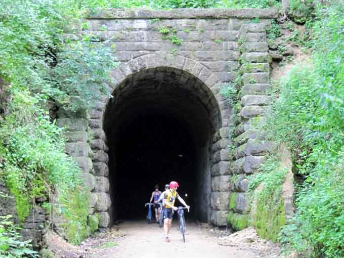 A garden-variety garter snake plays hide and seek among autumn leaves, reminding hikers to watch their step on nature's playground.