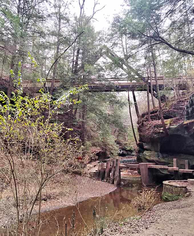 Engineering meets nature as this bridge spans the gorge, offering visitors a bird's-eye view of the sculpted canyon below.