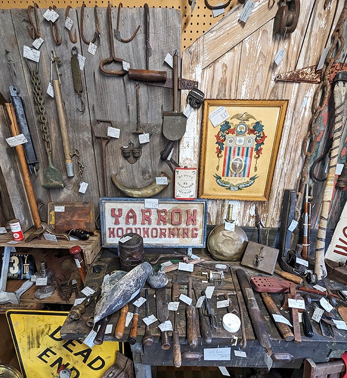 Vintage tools and farm implements hang on weathered wood, silent witnesses to Maine's agricultural past now finding new purpose as decor.