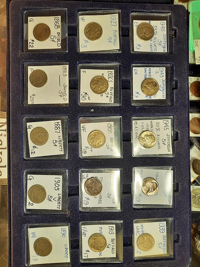 Meticulously cataloged coins tell their own economic history, each one a tangible connection to the past that fits in your palm.