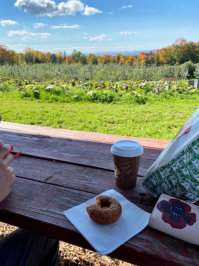 The ultimate orchard break: a steaming cup of coffee, a fresh-made donut, and views that remind you why Vermont does autumn better than anywhere else.