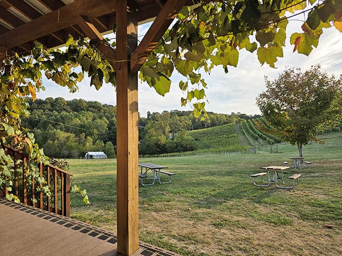 The covered porch offers front-row seats to nature's show, where grapevines stretch toward the horizon and picnic tables invite leisurely afternoon sipping.