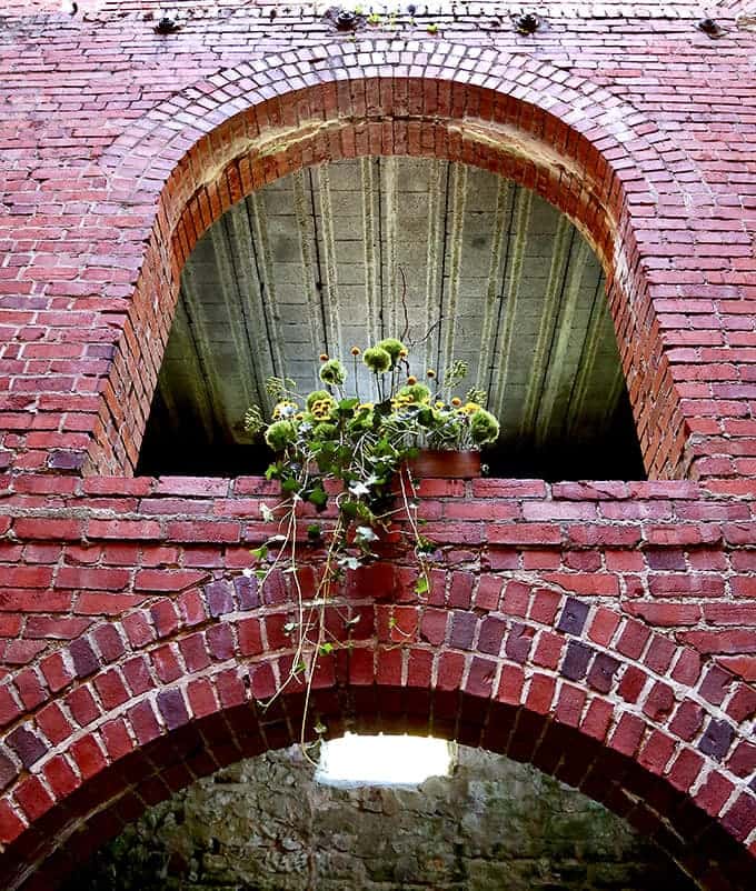 Nature slowly reclaims what man built &ndash; tendrils of green life emerge from brick arches in a gentle reminder of time's patient persistence.