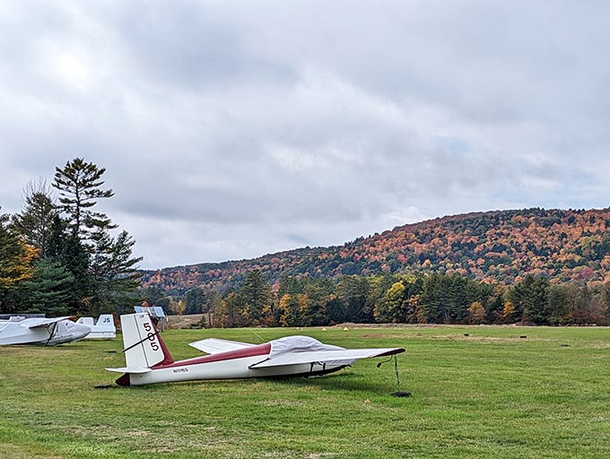 Small aircraft share the grounds with prehistoric art, creating an only-in-Vermont juxtaposition of flight and fantasy.