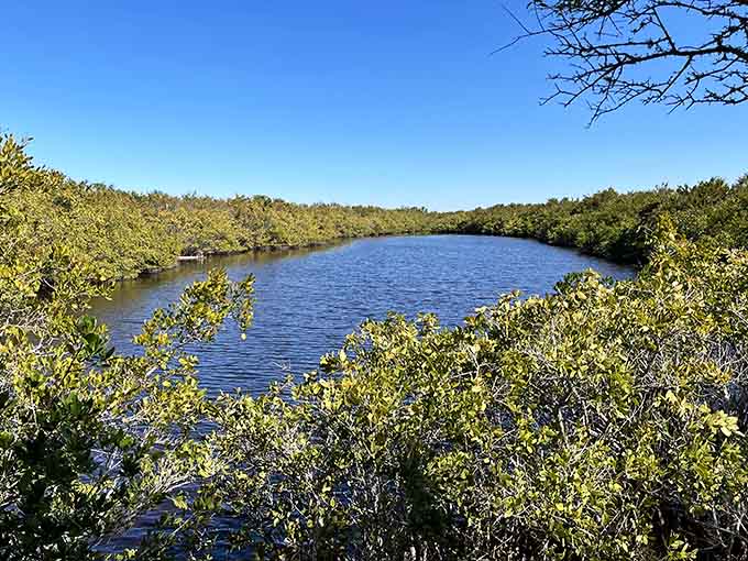 Views like this make you wonder why anyone bothers with screensavers when reality looks this good.