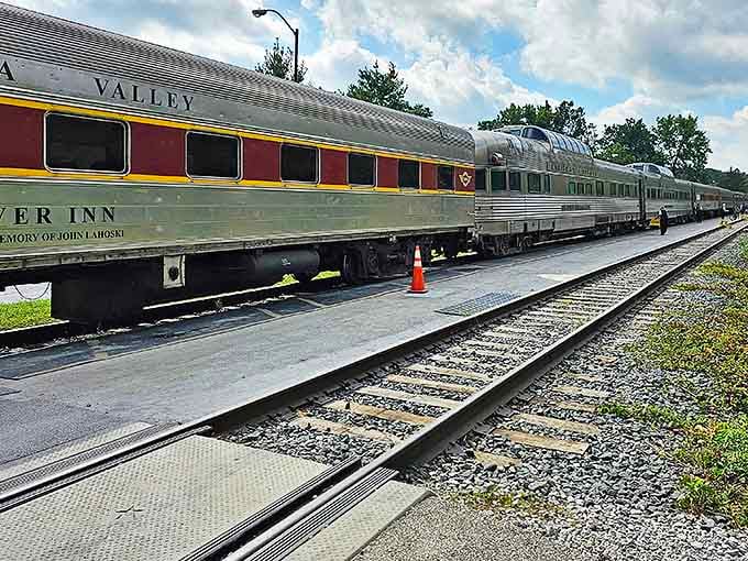 The Cuyahoga Valley train cars gleam in the sunlight, their polished exteriors preserving the legacy of American rail travel for new generations.