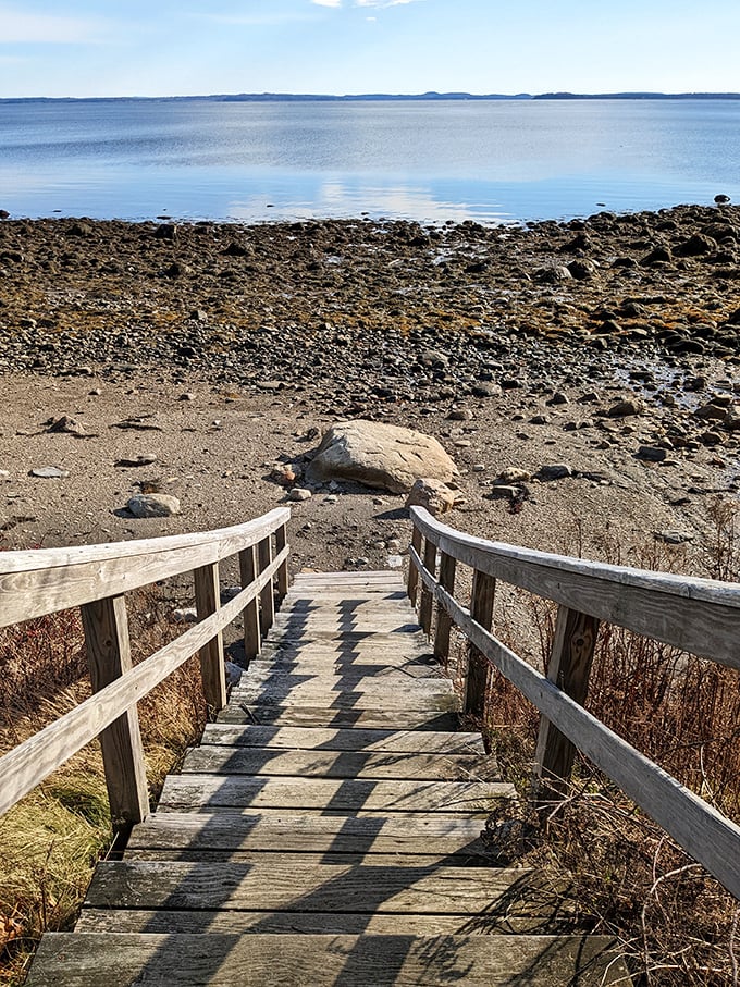 Wooden steps invite exploration of the tidal zone, where twice daily the sea reveals and conceals its treasures along the rocky shore.