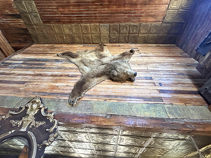 This preserved bear rug speaks to frontier hunting traditions. Its glass eyes have witnessed decades of visitors stepping back in time.