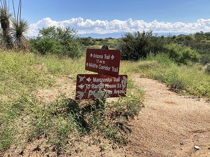 Trail signposts mark the intersection of adventures &ndash; will you choose the epic Arizona Trail or the wildlife-rich corridor?