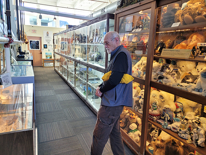 A visitor browses the museum's extensive collection, perhaps wondering if that stuffed jackalope would look good on his living room wall.