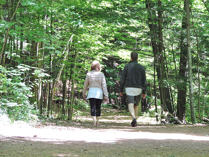Fellow explorers venture deeper into the forest, where conversation flows easier and problems seem to shrink with each step.