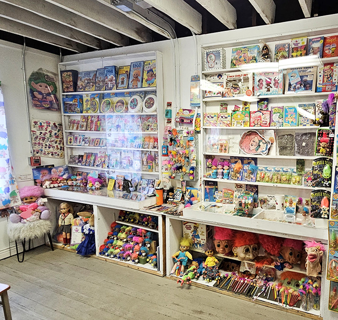 Every shelf tells a story of obsession and dedication &ndash; the kind that makes normal collectors look like casual hobbyists.
