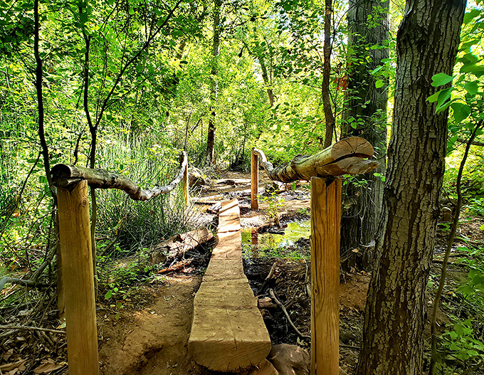 Rustic pathways guide adventurers through the riparian zone, where desert heat gives way to cool, shaded microclimate.