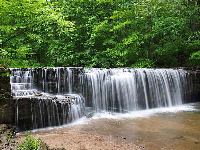 Wildflower wonderland! Hidden Falls surrounded by a bouquet of blooms, as if spring itself decided to throw a party.