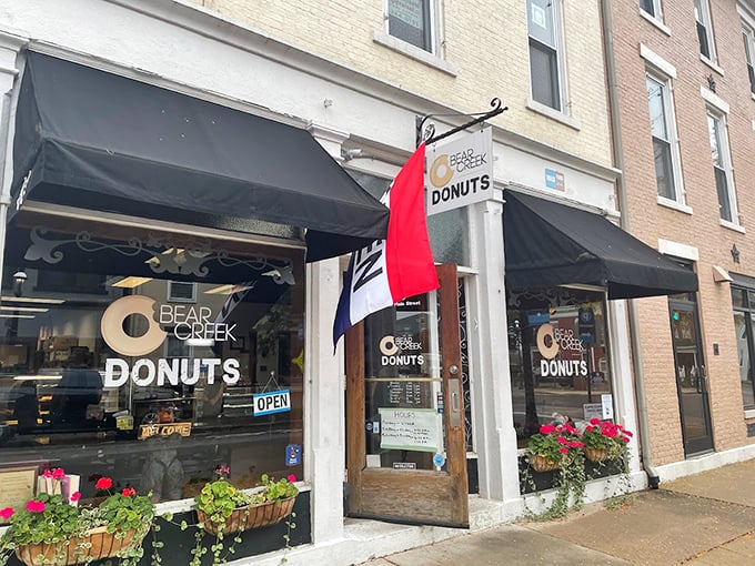 Bear claws so good, they might make you consider hibernating... just to dream about more donuts.