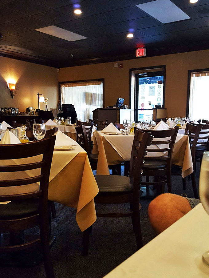 amelia's italian cuisine 2