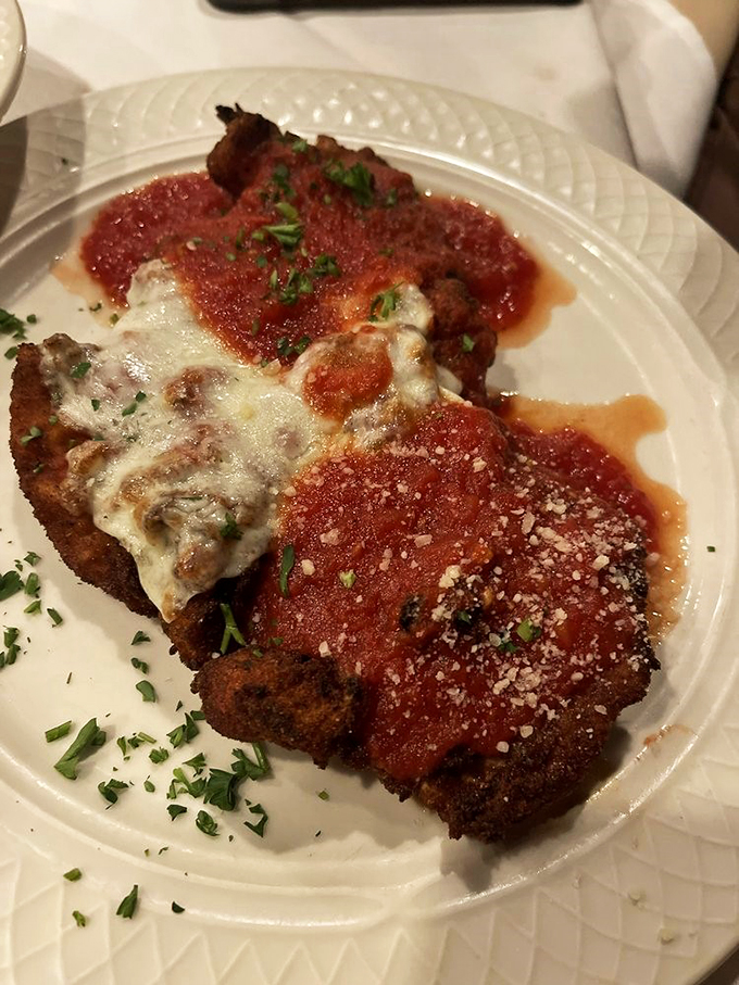 amelia's italian cuisine 3