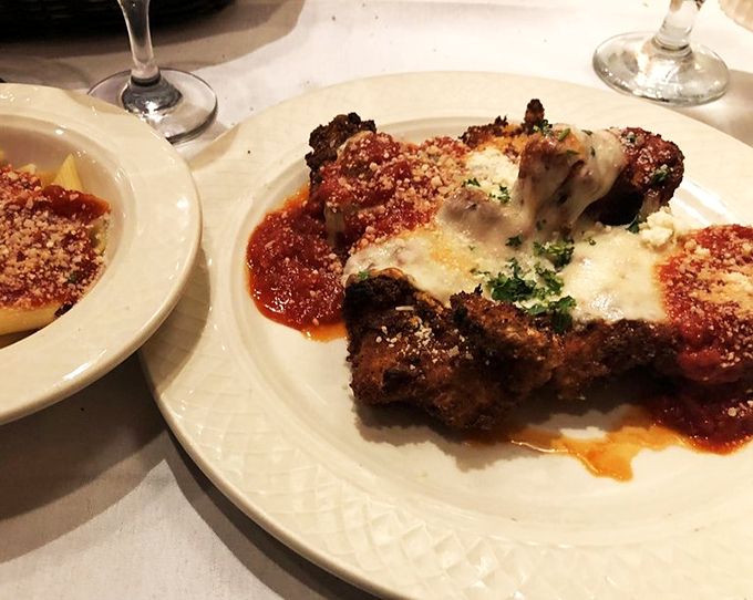 amelia's italian cuisine 4