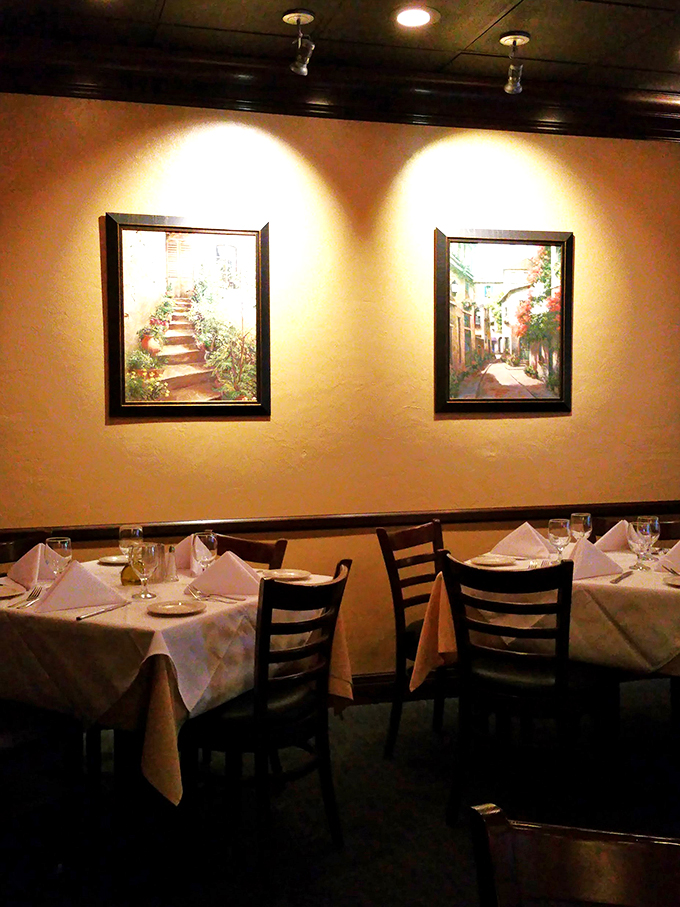 amelia's italian cuisine 7