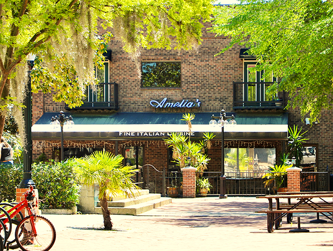 amelia's italian cuisine 8