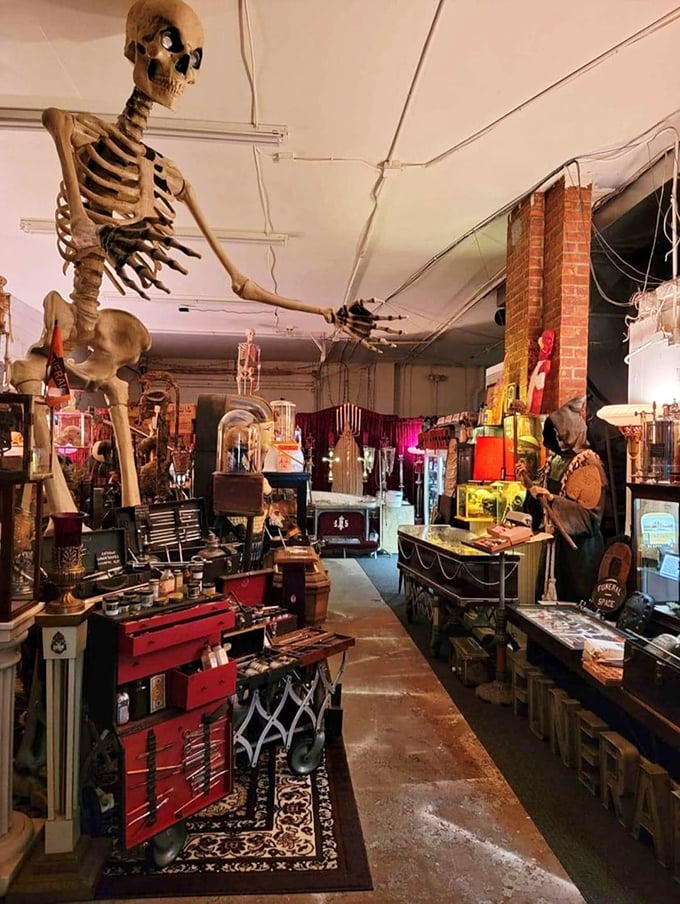 anatomy of death museum 1