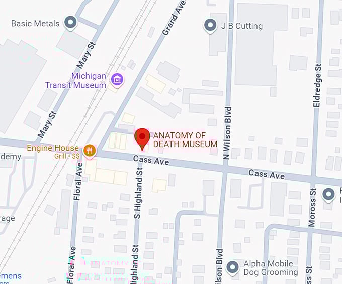 anatomy of death museum 10 map