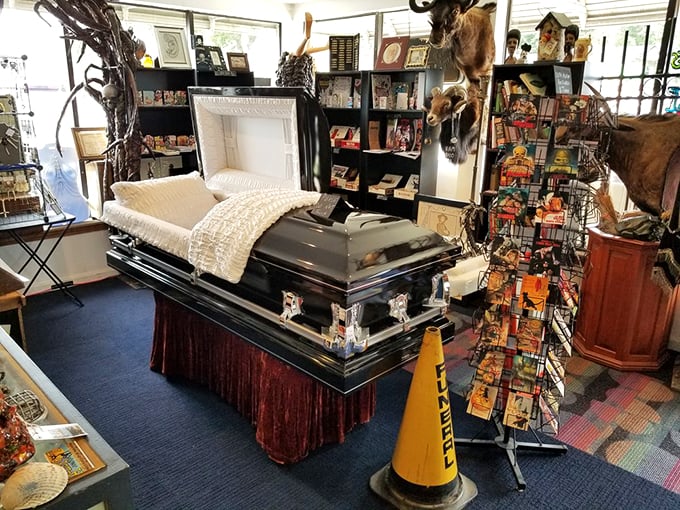 anatomy of death museum 2