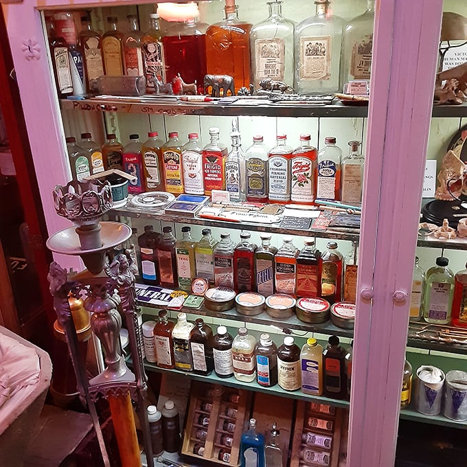 anatomy of death museum 3