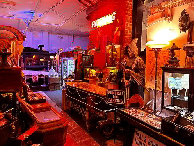 anatomy of death museum 6